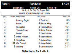 Free Horse Racing Form Guide | Sky Racing World