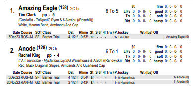 pdf example with sky racing world logo